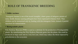 TRANSGENIC FRUIT CROPS.pptx | Biotech and Biomedical Industry | Industries