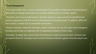 TRANSGENIC FRUIT CROPS.pptx