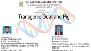Transgenic goat and pig (A. Anbu Abubakkar Sidik).pptx