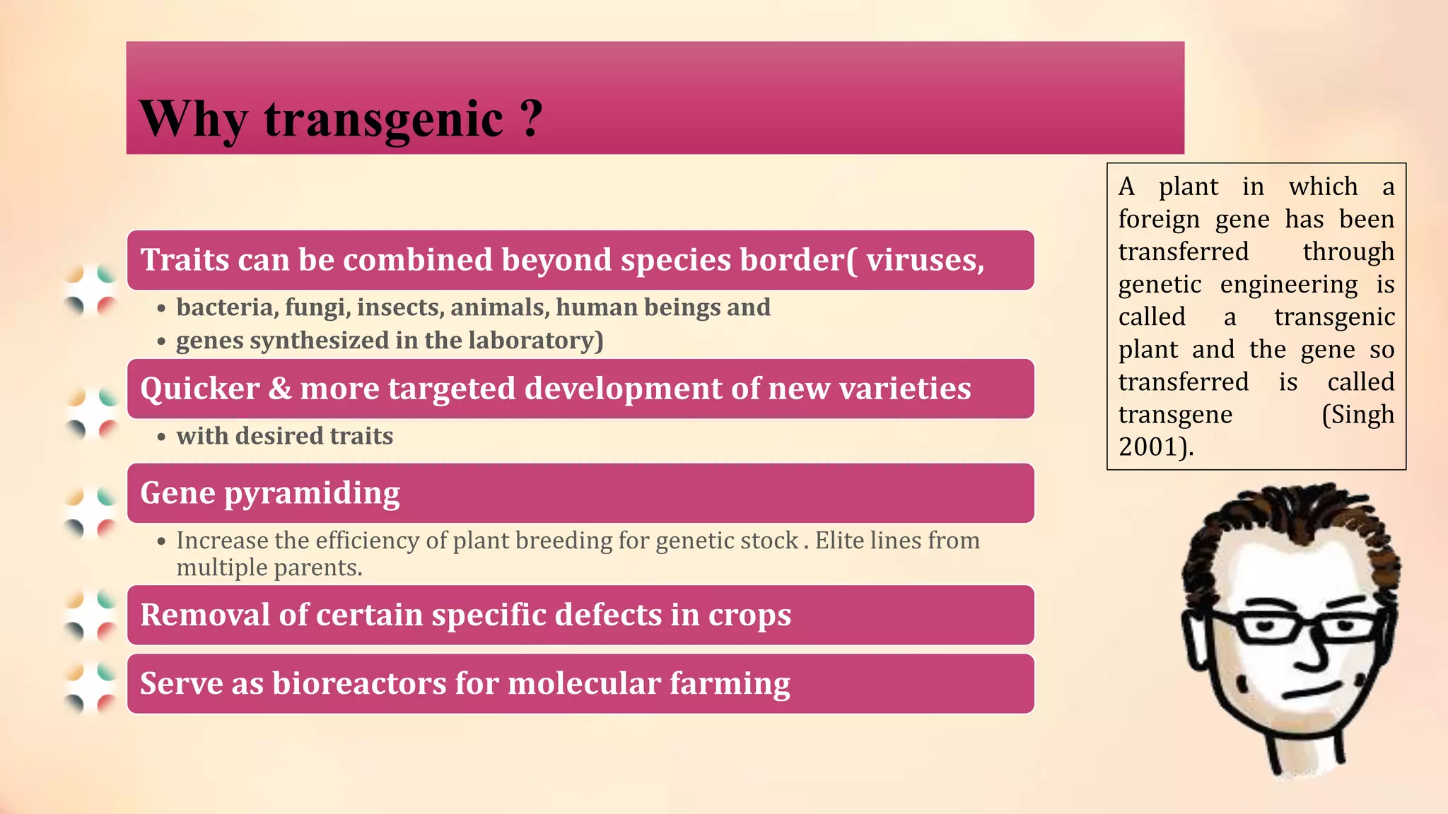 Transgenic in vegetable crop | PPTX