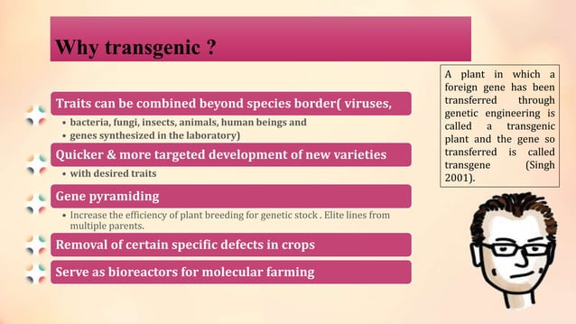 Transgenic in vegetable crop | PPTX