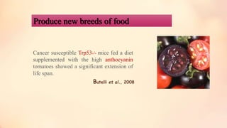 Transgenic in vegetable crop | PPTX