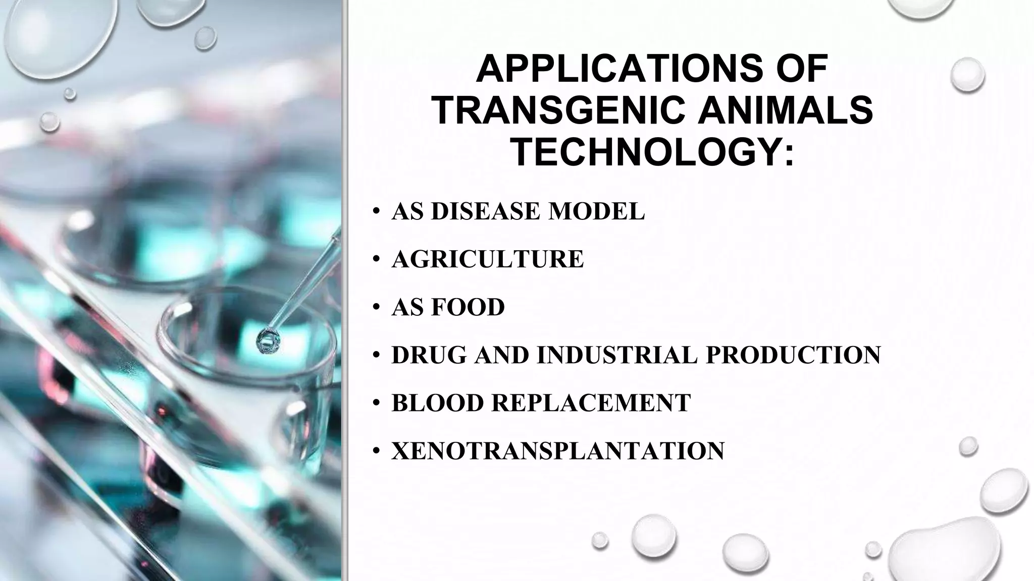 Transgenic manipulation of animal embryos and its application | PPTX