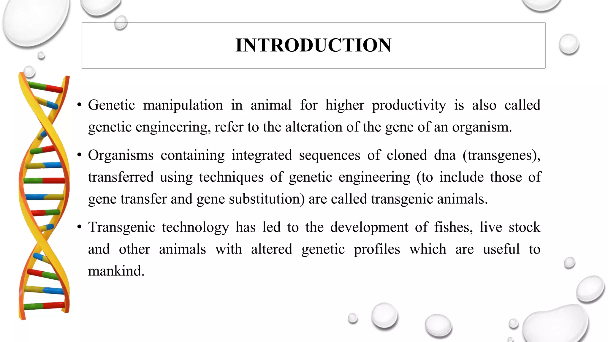 Transgenic manipulation of animal embryos and its application | PPTX