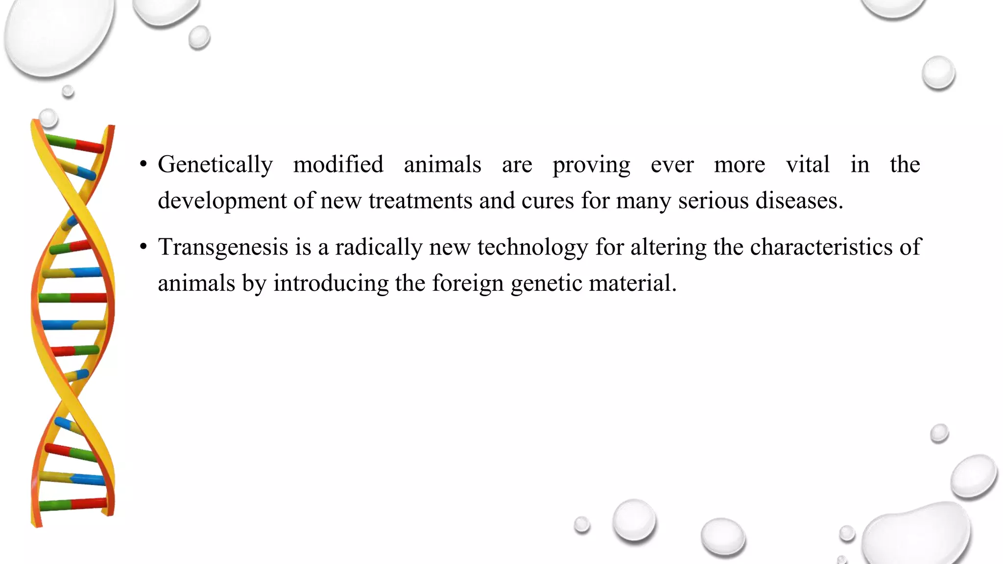 Transgenic manipulation of animal embryos and its application | PPTX
