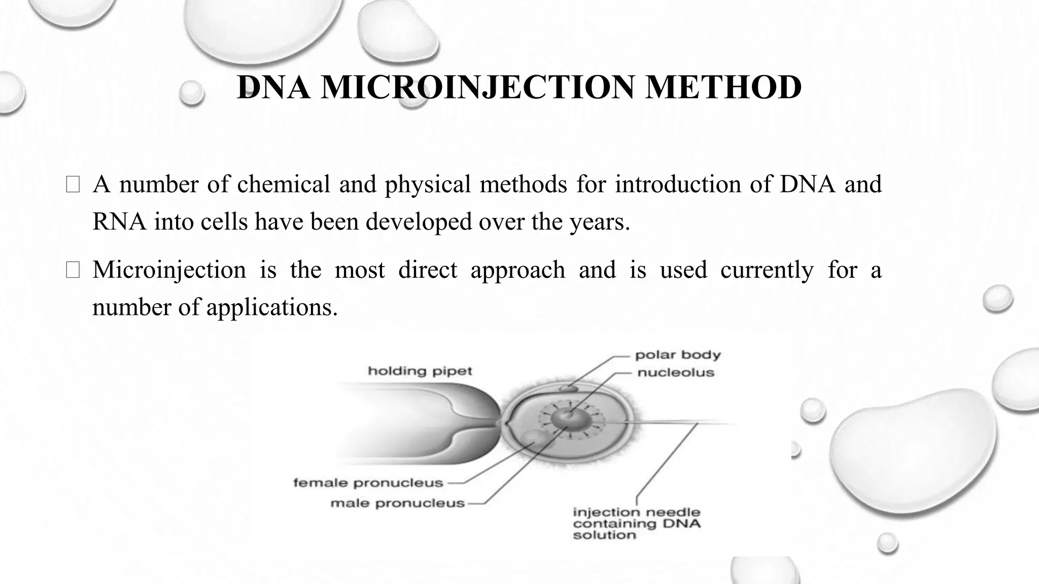 Transgenic manipulation of animal embryos and its application | PPTX