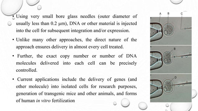 Transgenic manipulation of animal embryos and its application | PPTX ...