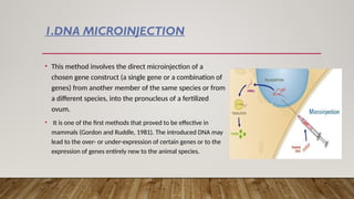 Transgenic methods to incorporate transgene into the animal ppt..pptx