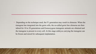 Transgenic methods to incorporate transgene into the animal ppt..pptx