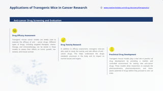 Transgenic Mice in Cancer Research - Creative Biolabs | PPTX