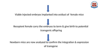TRANSGENIC MICE IN RESEARCH, PHARMACOLOGY.pptx