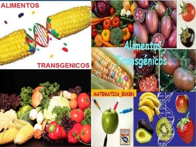 Alimentos Geneticamente Modificados