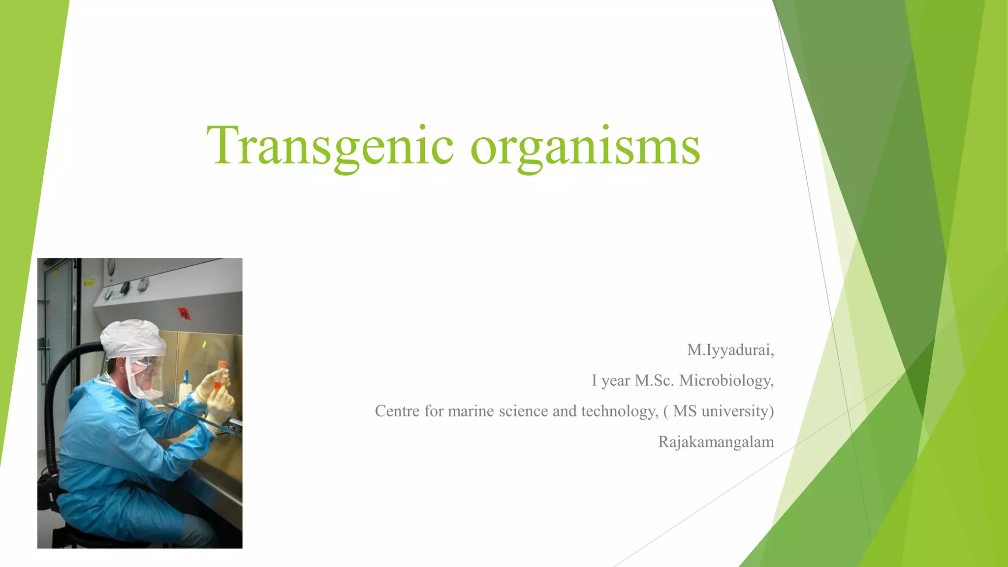 Transgenic organisms | PPTX