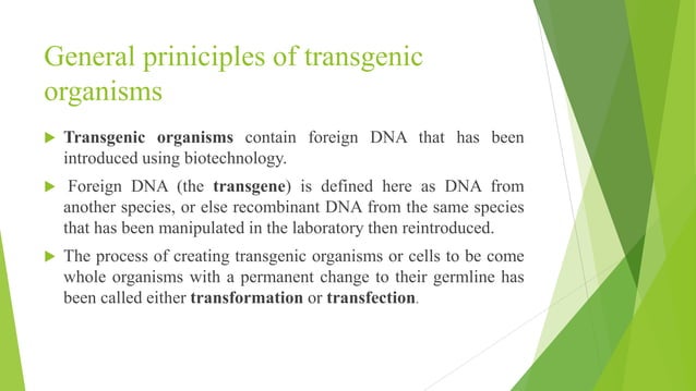 Transgenic organisms | PPTX | Biotech and Biomedical Industry | Industries