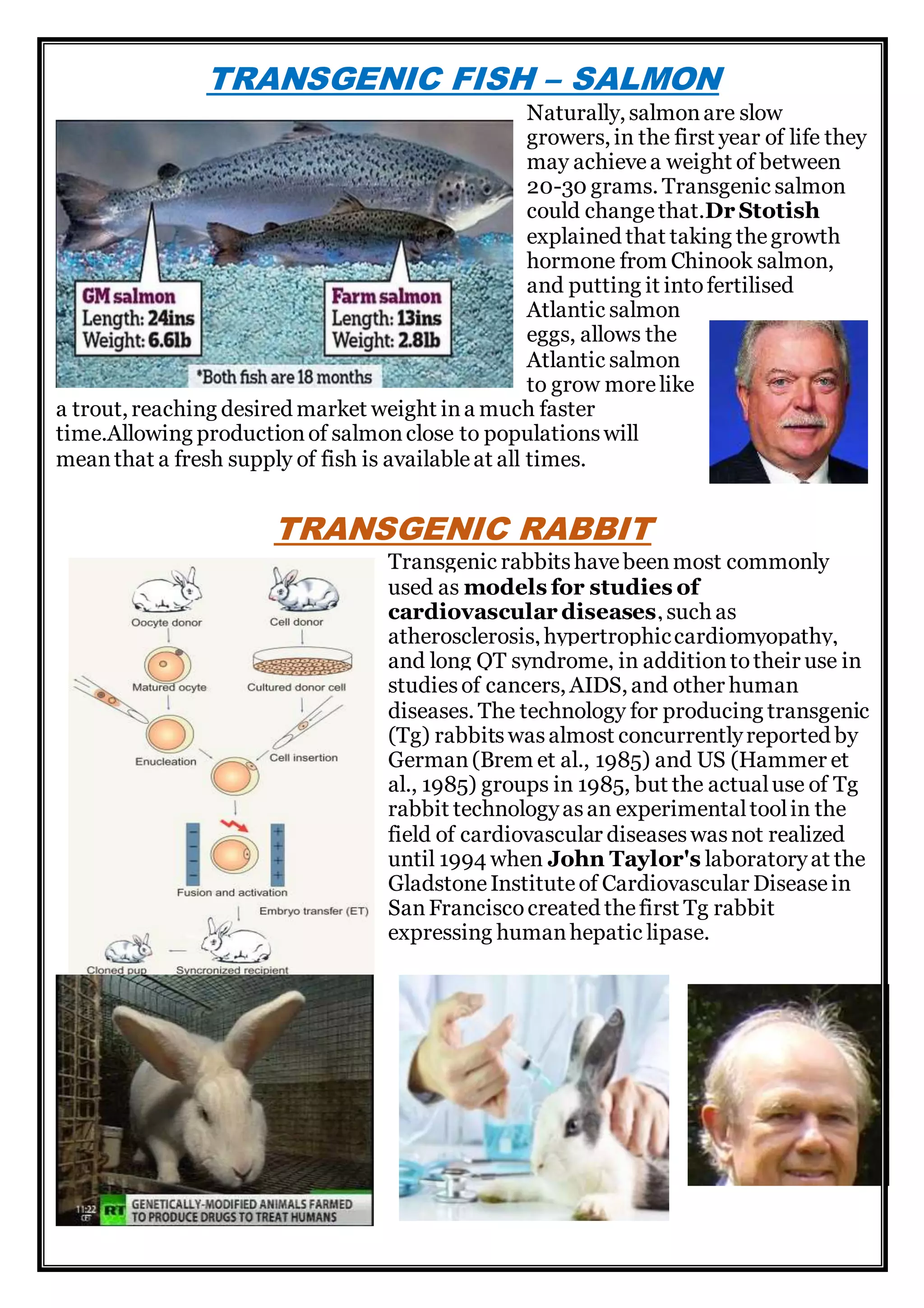 Transgenic organisms by Rajalakshmi | DOCX
