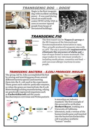 Transgenic organisms by Rajalakshmi | DOCX