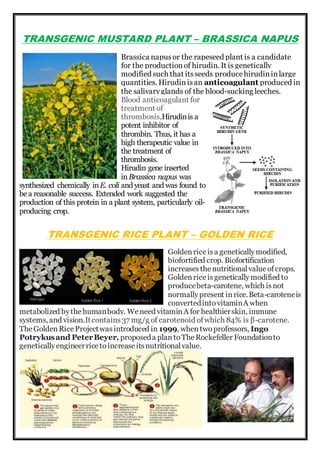 Transgenic organisms by Rajalakshmi | DOCX