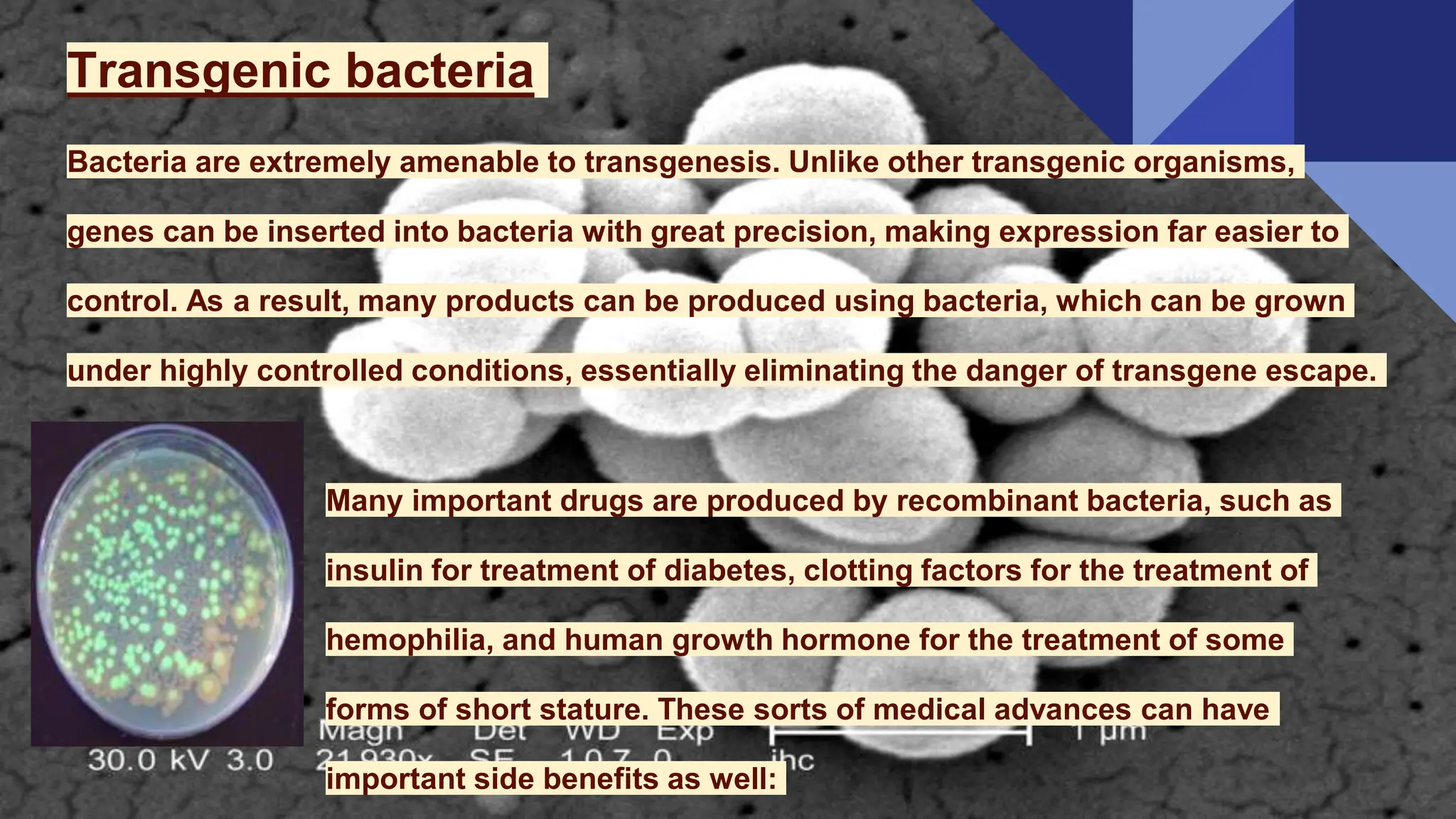 Transgenic organisms and methods of their production. | PPTX