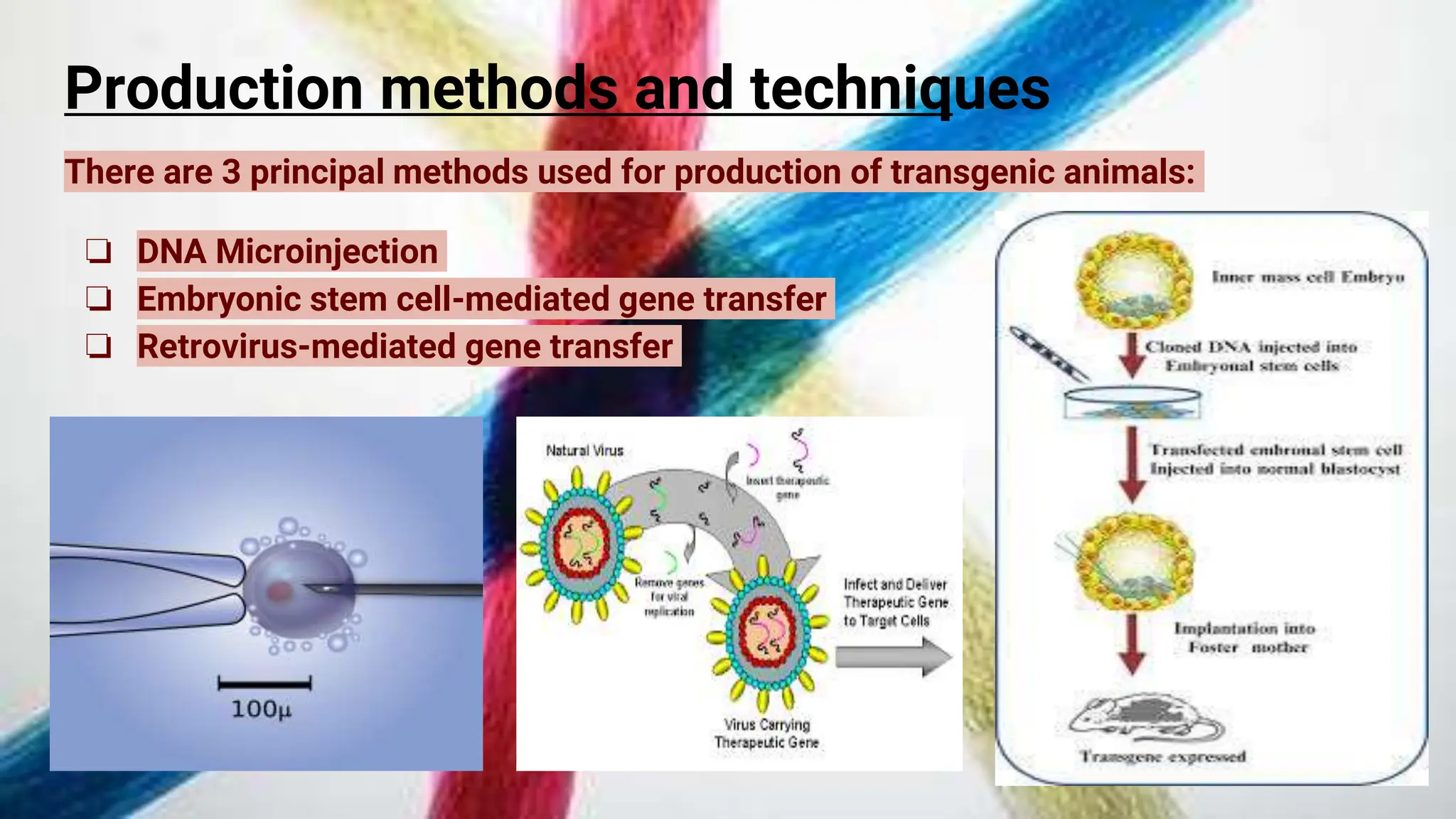 Transgenic organisms and methods of their production. | PPTX
