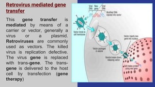 Transgenic organisms and methods of their production. | PPTX