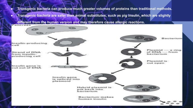 Transgenic organisms and methods of their production. | PPTX | Biotech ...
