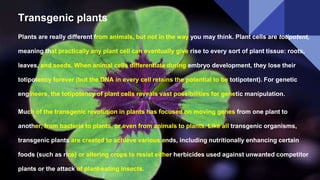 Transgenic organisms and methods of their production. | PPTX