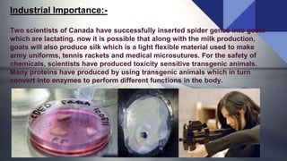 Transgenic organisms and methods of their production. | PPTX