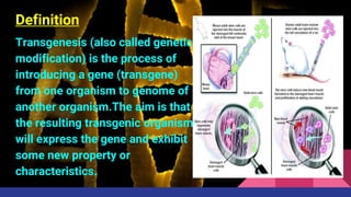 Transgenic organisms and methods of their production. | PPTX
