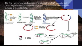 Transgenic organisms and methods of their production. | PPTX