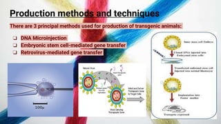 Transgenic organisms and methods of their production. | PPTX
