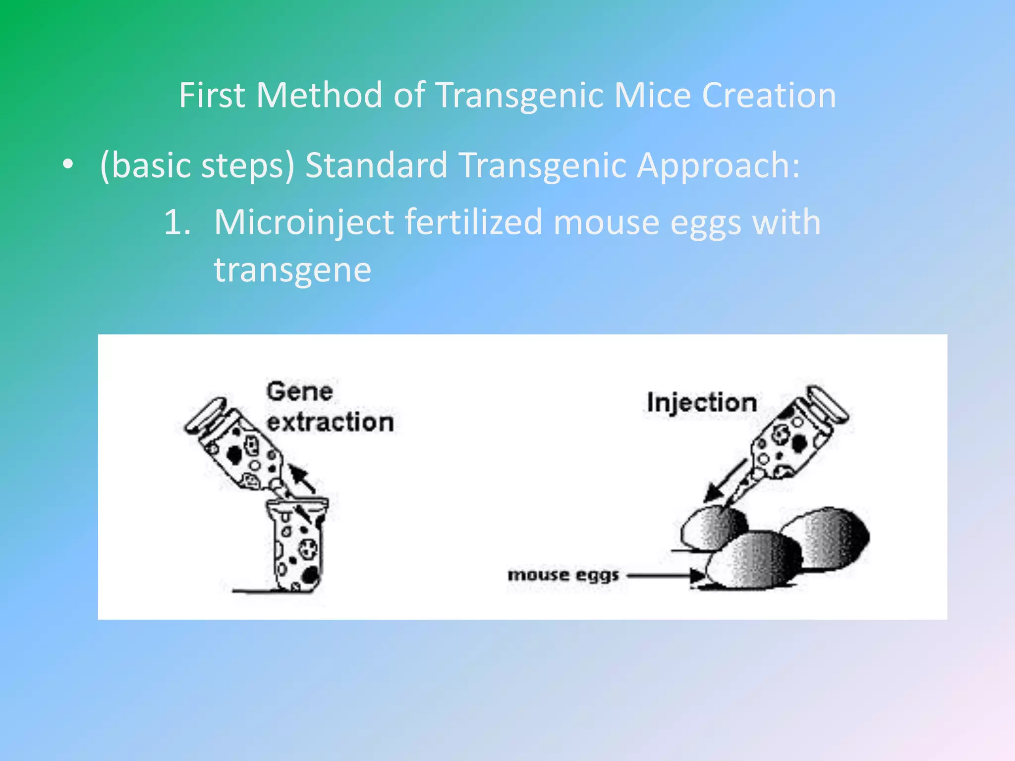 Transgenic organisms powerpoint | PPTX