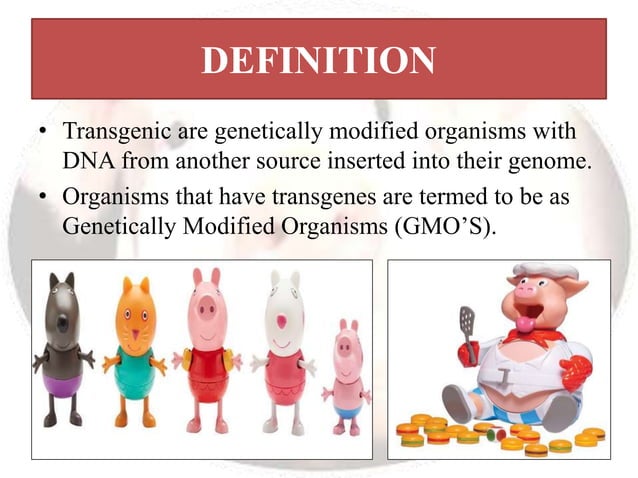 Transgenic pigs | PPTX