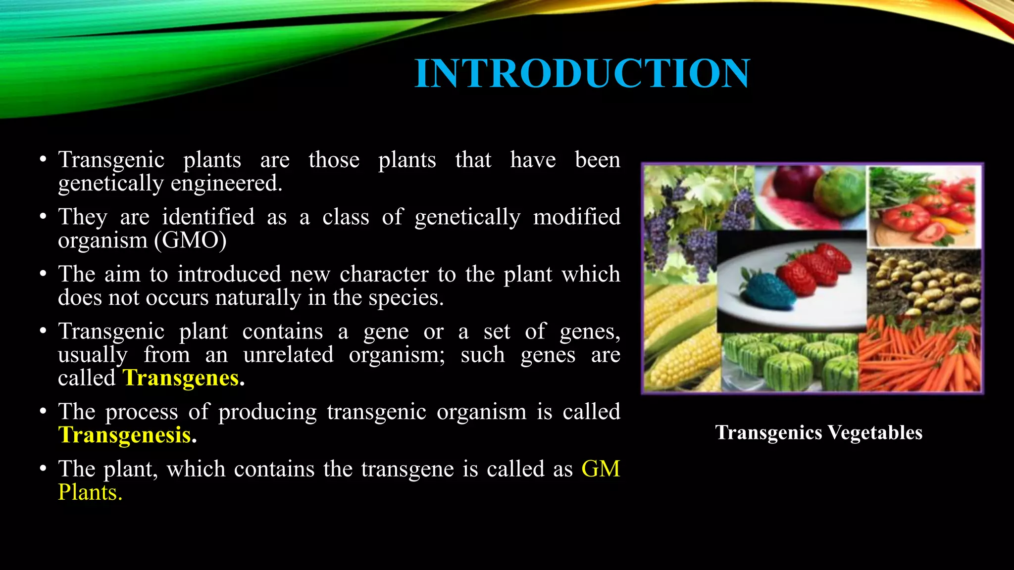 Transgenic plant | PPTX