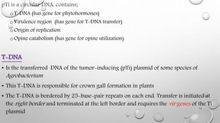 Transgenic plants and their Application | PPTX