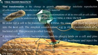 Transgenic plants and their Application | PPTX