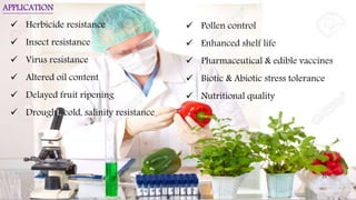 Transgenic plants and their Application | PPTX