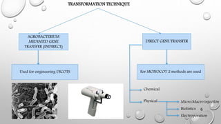 Transgenic plants and their Application | PPTX