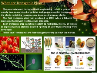 Transgenic Plants