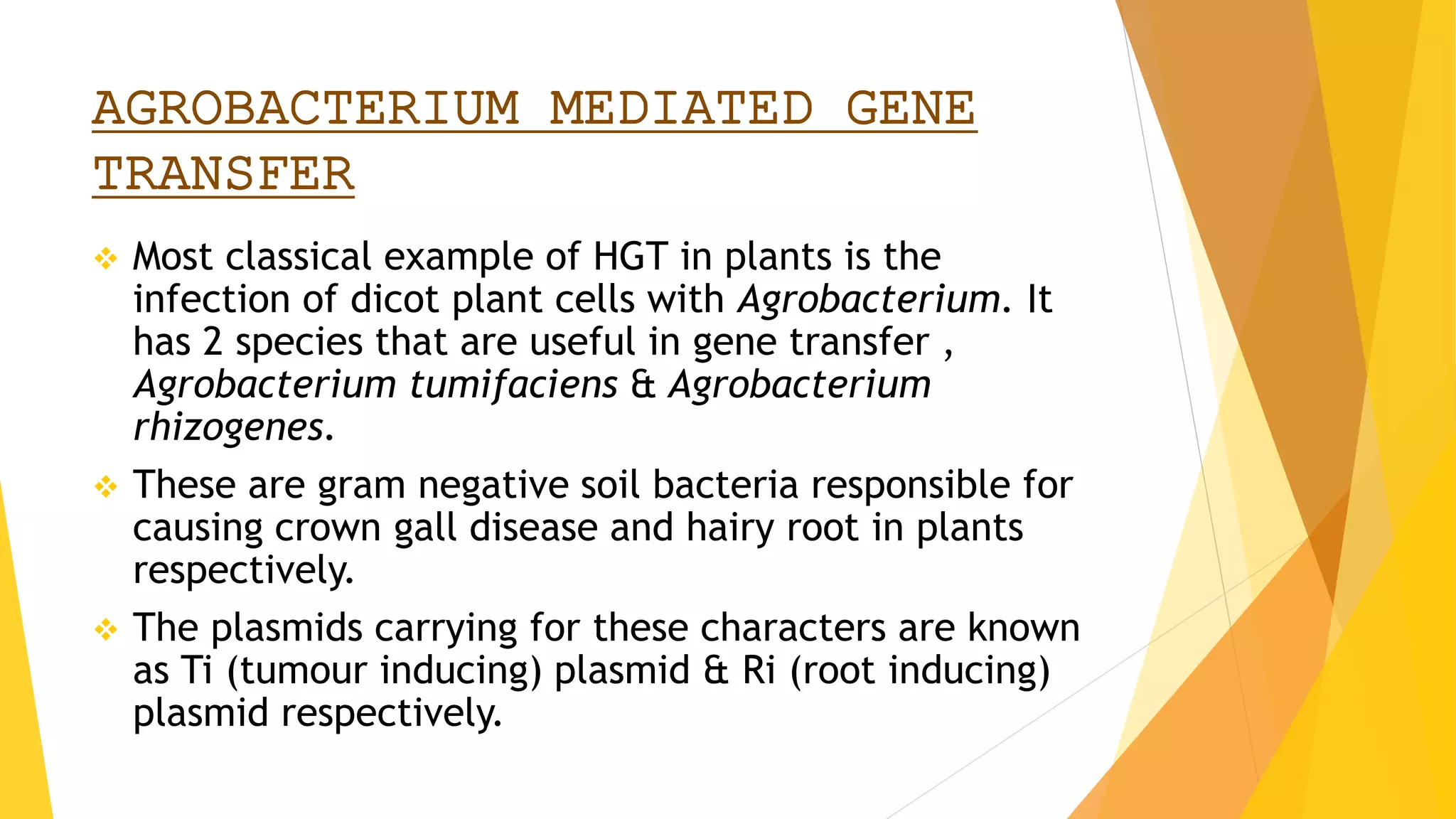 Transgenic plants | PPTX | Agriculture | Industries