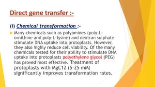 Transgenic plants | PPTX | Agriculture | Industries