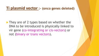 Transgenic plants | PPTX