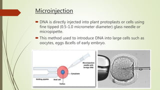 Transgenic plants | PPTX