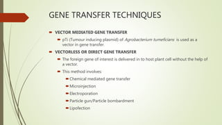 Transgenic plants | PPTX