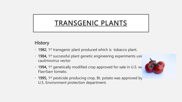 Transgenic Plants.pptx