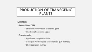 Transgenic Plants.pptx | Biotech and Biomedical Industry | Industries