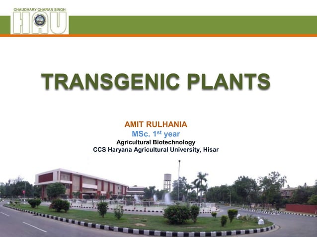 Transgenic plants.pptx