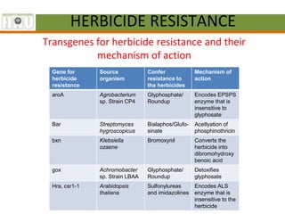 Transgenic plants.pptx