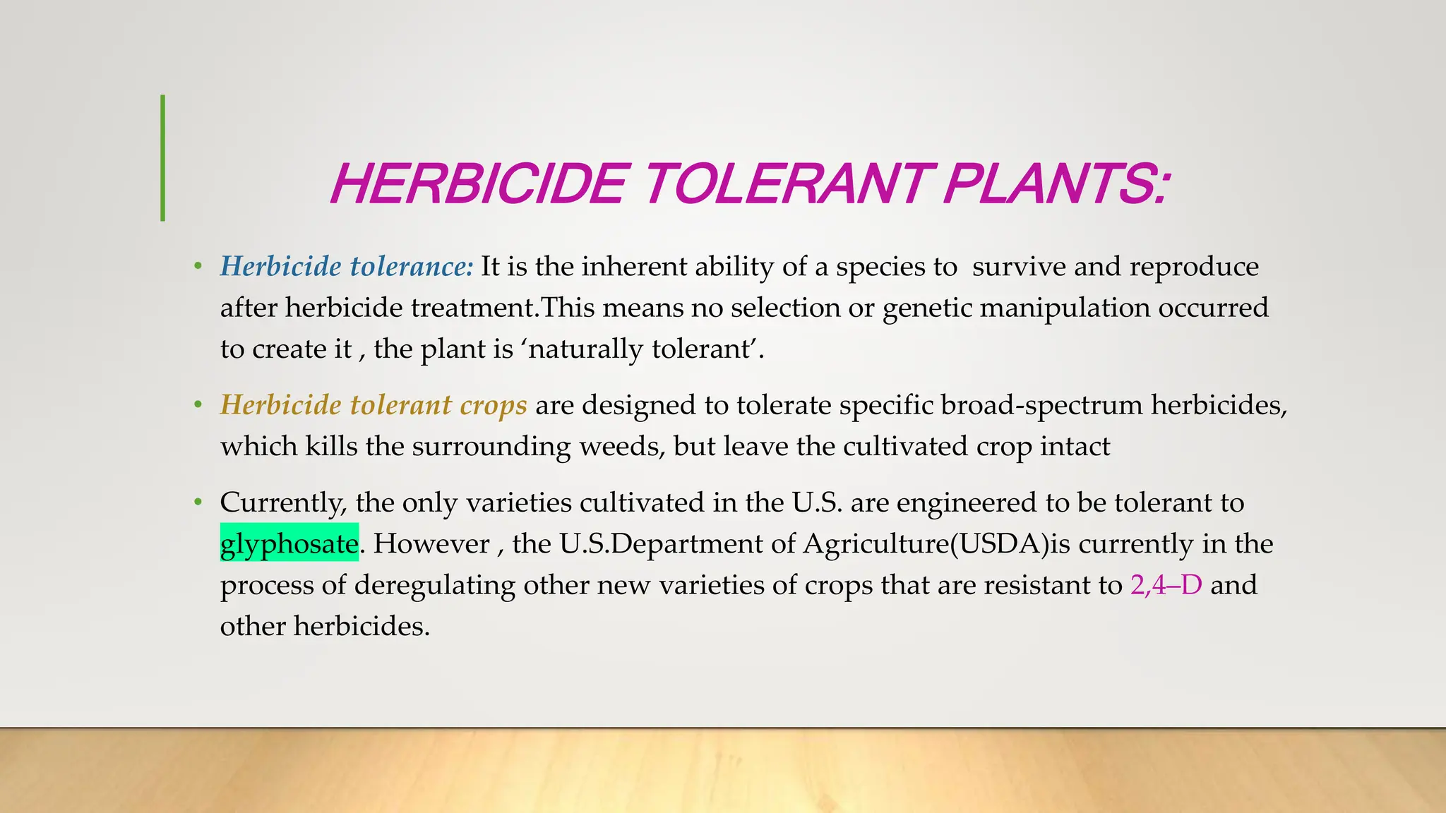 TRANSGENIC PLANTS OR GENETICALLY MODIFIED PLANTS .pptx
