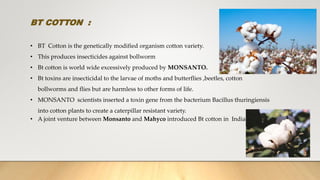 TRANSGENIC PLANTS OR GENETICALLY MODIFIED PLANTS .pptx