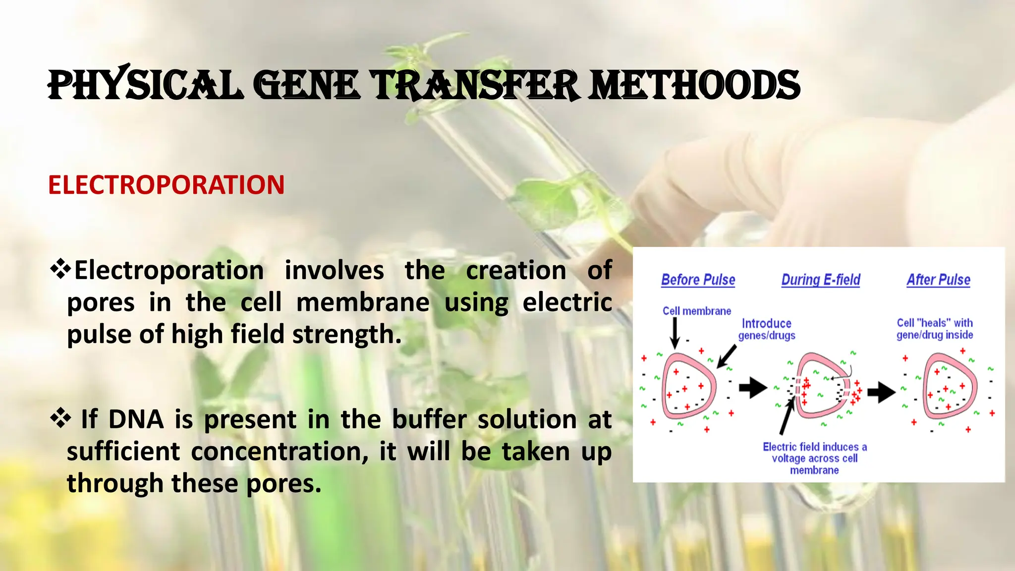Transgenic plants , biotransformation and transgenesis | PDF